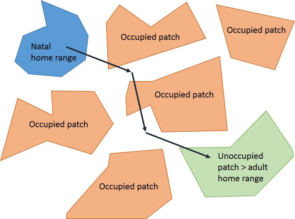 Dispersal - Polarpedia